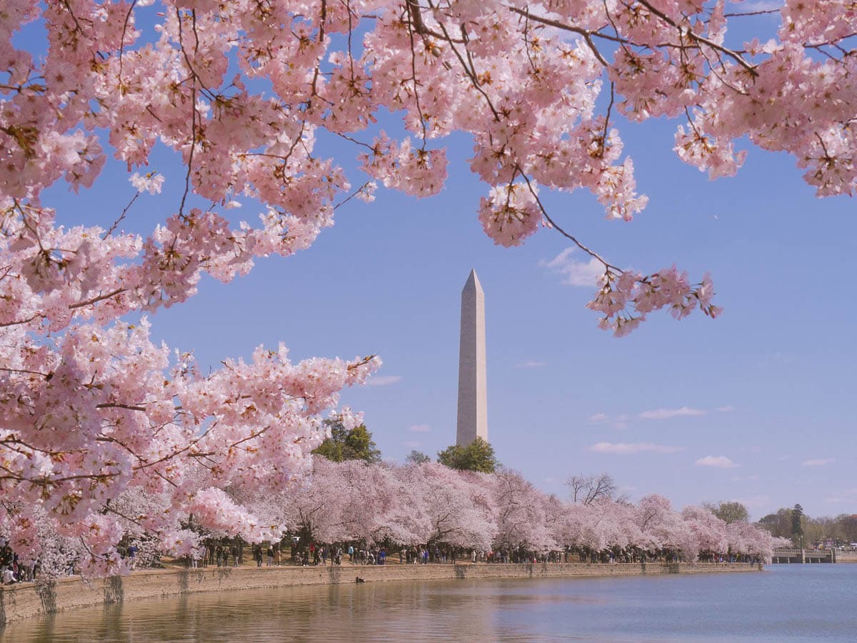 Washington Monument Entrance Fee 2026: What Is Free, What Costs US$1 ...