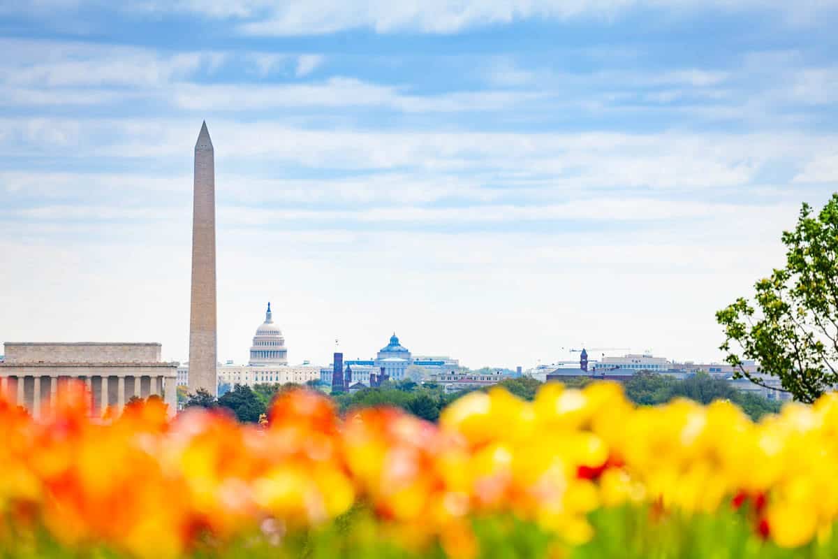 Washington Monument Opening Hours in 2026: Best Times to Visit ...