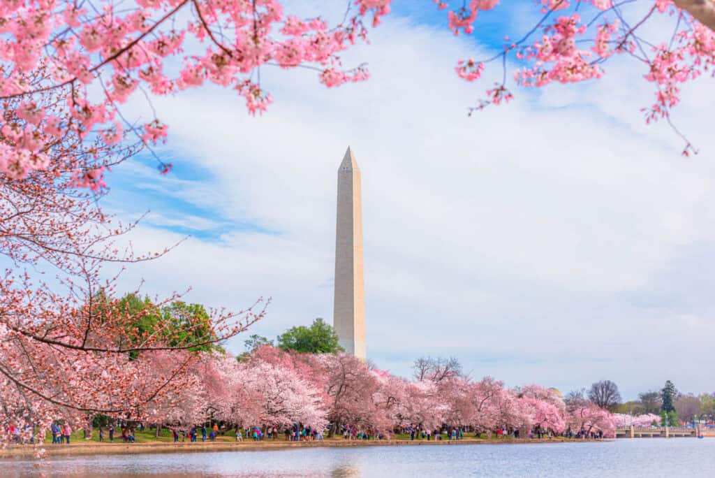 Washington Monument Reservations 2026: How to Book, When Tickets Drop ...