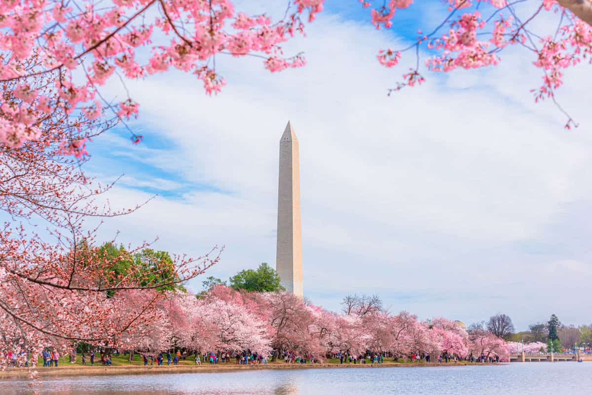 Washington Monument Reservations 2026: How to Book, When Tickets Drop ...