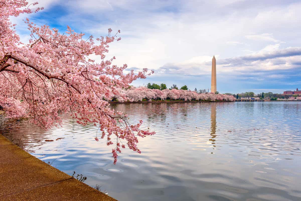 Washington Monument Reservations 2026: How to Book, When Tickets Drop ...