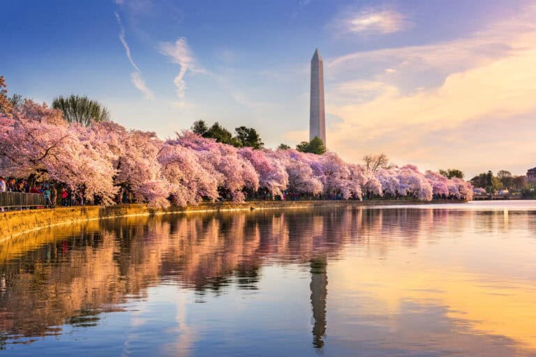 Washington Monument Guide 2026: Tickets, Views, History, and the Best ...