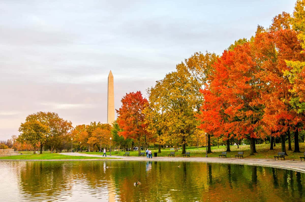 Washington Monument Guide 2026: Tickets, Views, History, and the Best ...